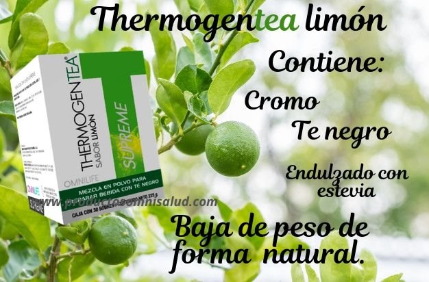 Thermogen tea Limón. Pierde peso y talla sin efecto de rebote.